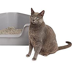 So Phresh High-Back Corner Grey Litter Box, 26.25" L x 21.5" W x 10" H