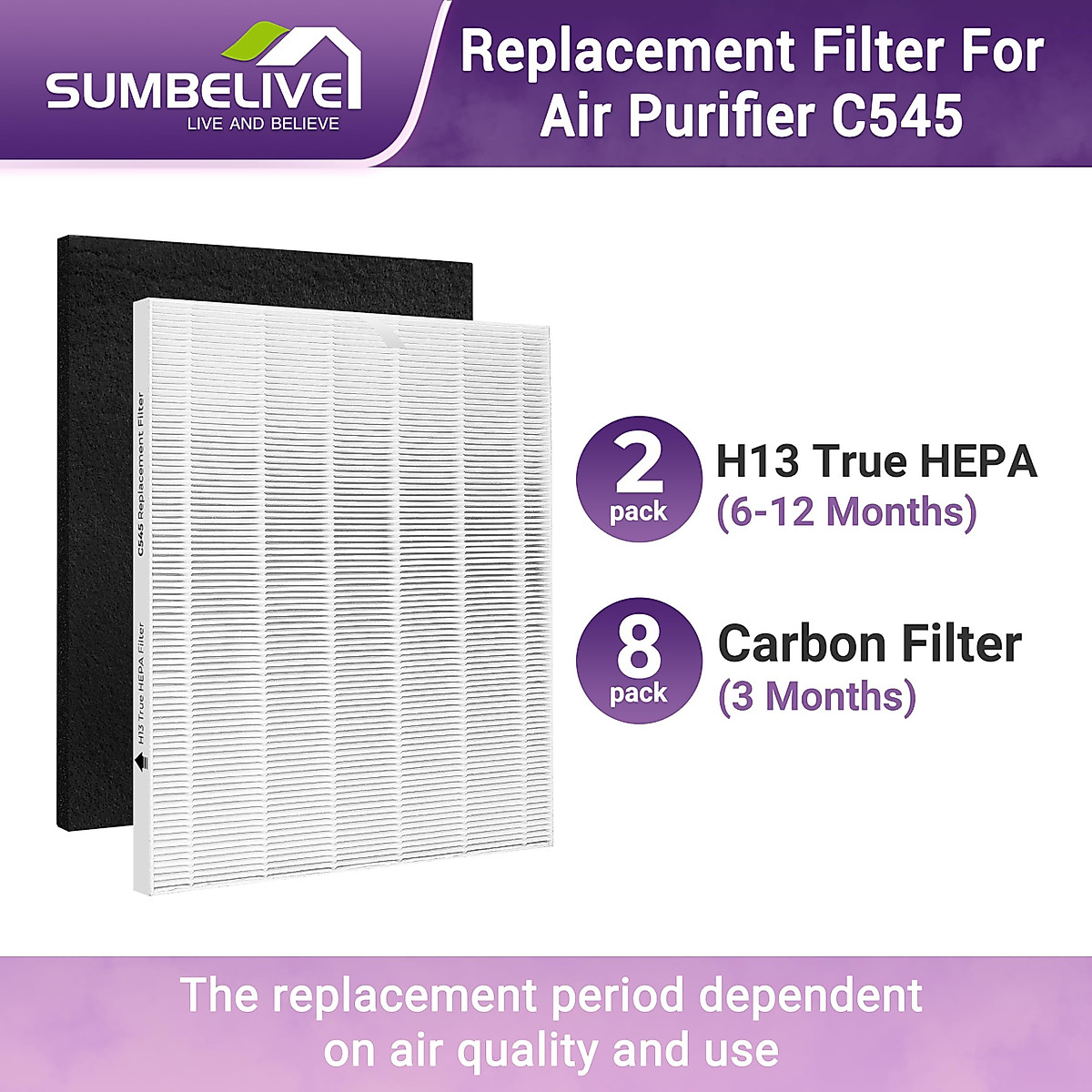 C545 Filter for Winix C545 Filter S, 2 True HEPA Filter + 8 Activated Carbon Filters Part No. 1712-0096-00 and 2522-0058-00