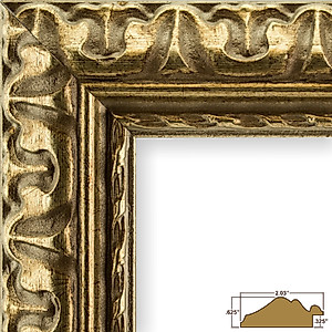 Craig Frames Bravado Ornate, 16 x 20 Inch Antique Bronze Picture Frame Matted to Display a 11 x 14 Inch Photo