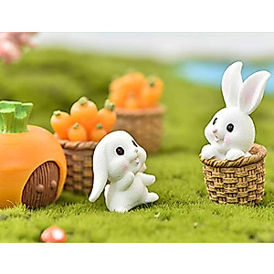 HoneyToys Resin Mini Rabbits Mini Carrot with Basket, Miniature Figurines, Fairy Garden Accessories, Fairy Garden Supplies, Fairy Garden Animals for Fairy Garden, Plant Pots, Bonsai Craft Decor