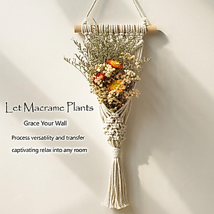 Melphoe 4 Pack Air Plants Holders Air Fern Macrame Plant Hanger Indoor Hanging Planter Basket for Tillandsias Display Air Plant Stand, Boho Home Decoration Gift Idea