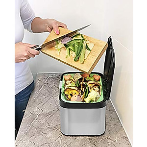 Stainless Steel Compost Kitchen Counter Bin (1.13 Gallon/4.3 Liter)