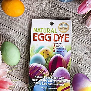 Earth Paints Natural Egg Dye Kit, 1 EA