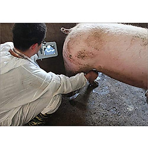 MLSJM Ultrasound Scanner,Pig Veterinary Ultrasound Scanner Machine Kit,Veterinary Farm Animals for Pig Pregnancy, Rechargeable Smart B-Ultrasound Handscan