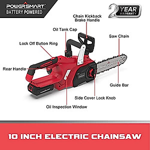 PowerSmart Electric Chainsaw, 20V Cordless Chainsaw With 10 Inch Chain and Bar, Battery Powered chainsaw With 2.0Ah Battery And Fast Charger Included, Power Chain Saws For Wood Cutting
