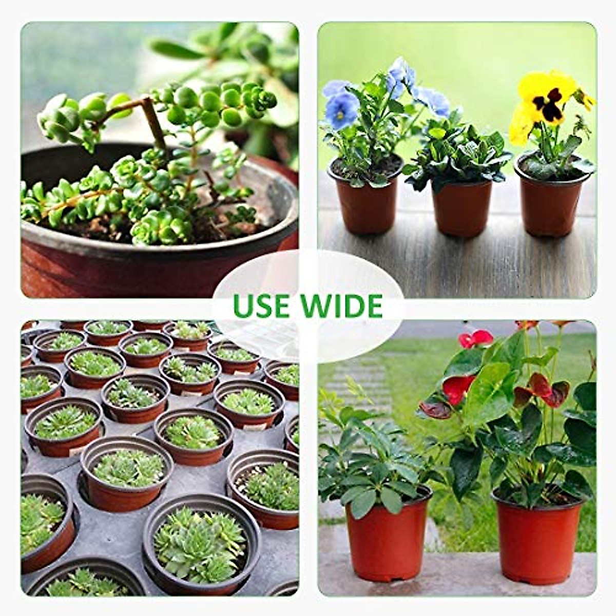 GROWNEER 60 Packs 6 Inches Plastic Plant Nursery Pots with 15 Pcs Plant Labels, Seed Starting Pot Flower Plant Container for Succulents, Seedlings, Cuttings, Transplanting