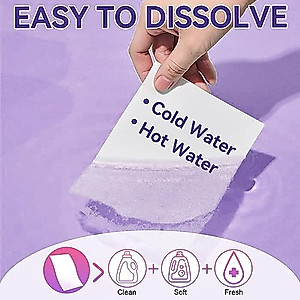 Laundry Detergent Sheets (180 Sheets) - Eco Friendly Laundry Detergent, Compact Lightweight Hypoallergenic Liquidless Laundry Soap Sheets for Travel, Home, Dorms, HE Machine & Hand Wash (Fresh Scent)