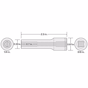 TEKTON 3/8 Inch Drive x 1/4 Inch Deep 12-Point Socket | SHD13206