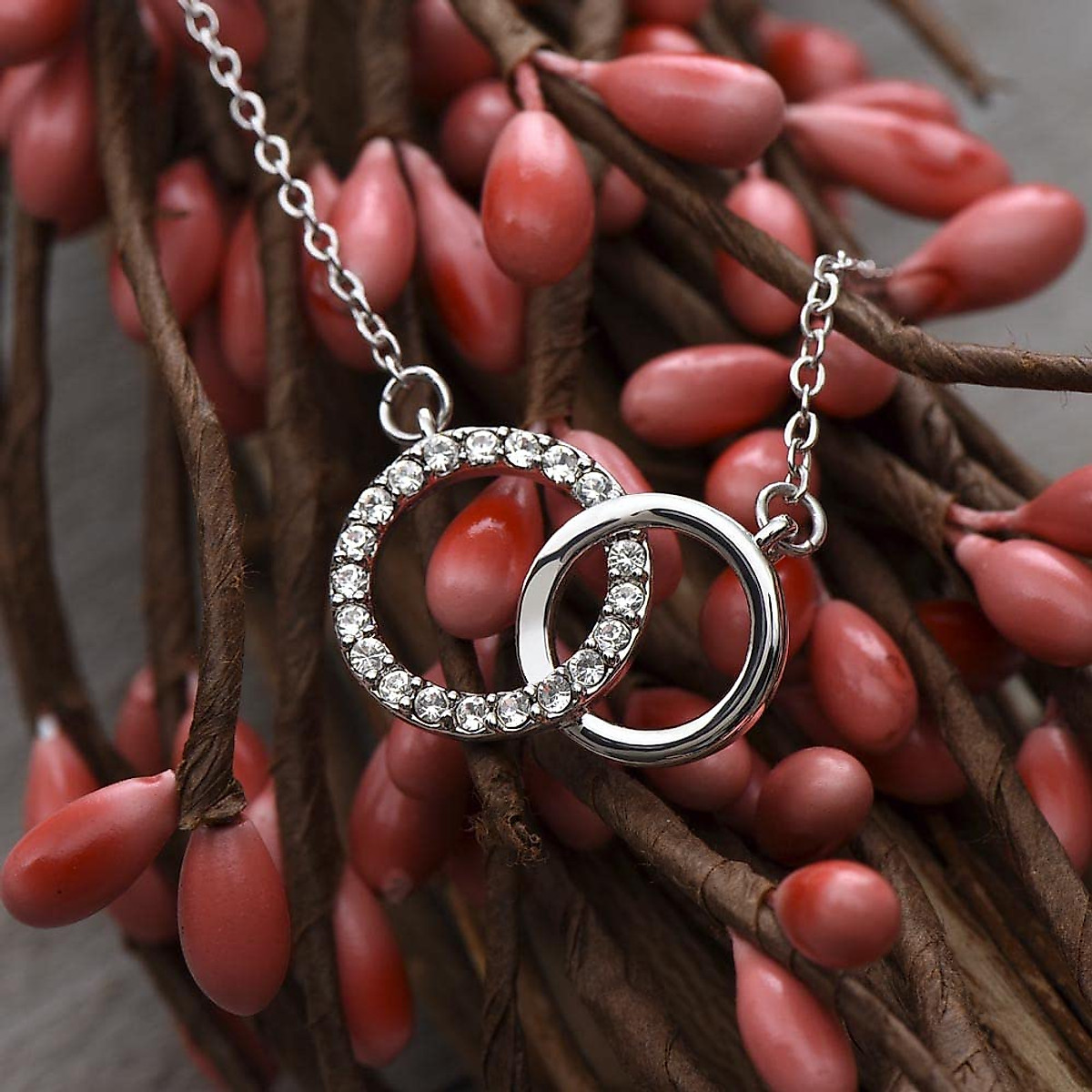 New US Citizen Gifts for Women, Interlocking Circle Necklace, Congratulations Citizenship New American Citizen, United States Citizen Gift, Immigrant - Box 01, Silver