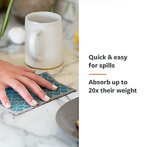 Full Circle Set of 3 Good Sheet Plant-Based Dishcloths – Super-Absorbent Reusable Dish Cloths - Multi-Use Washable Cleaning Cloths/Towels, Scales