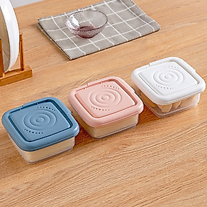 2 Pack-Plastic Cheese Storage Containers with Lids Airtight,Cheese Slice Storage, Keeps Cheese Fresh and Delicious Cheese Container for Fridge (Blue)