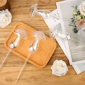 4pcs Plant Watering Globes, Watering Globes Glass Rainbow Clear Self Watering Bulbs for Plants Watering Bulbs Automatic Plant Waterer for Indoor Outdoor Plants Flowers Garden Water Device