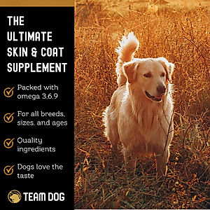 TEAM DOG Omega Skin and Coat Chews for Dogs | Wild Alaskan Salmon Oil for Dogs Skin and Coat Supplement | Allergy & Itchy Skin Relief for Dog Shedding | for a Glowing Coat & Healthy Skin | 120 Count