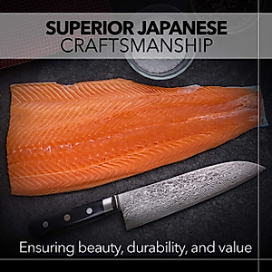 JCK ORIGINAL Kagayaki Japanese Chef’s Knife, KGRP-2 Professional Santoku Knife, Polished Patterned Damascus Stainless Steel with Ergonomic Black Pakka Wood Handle, 6.8 inch