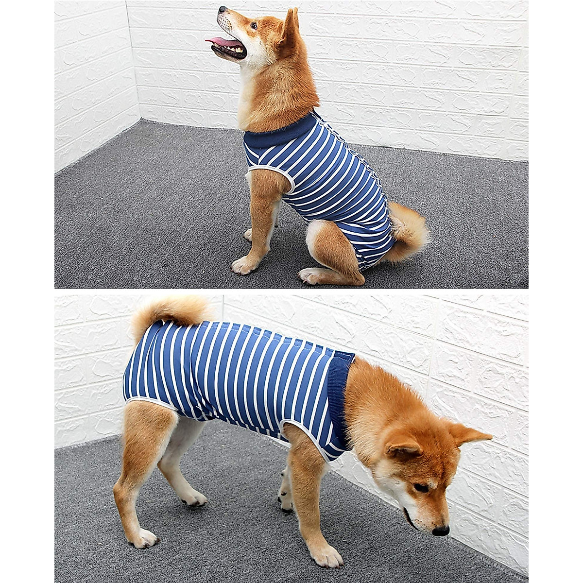 COCHPR Surgery Suit for Dogs Recovery Suit Abdominal Wound Puppy Surgical Clothes Post-Operative Vest Pet After Surgery Wear Substitute (XXXL, Blue and White)