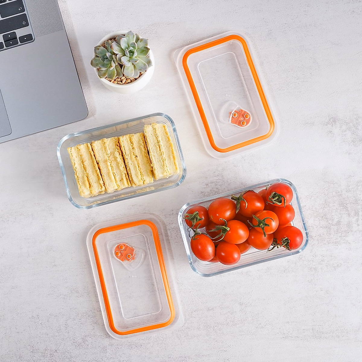 NUTRIUPS 16oz Glass Food Storage Containers with Lids, Set of 2 Reusable Meal Prep Containers, Glass Lunch Box, Lunch Containers