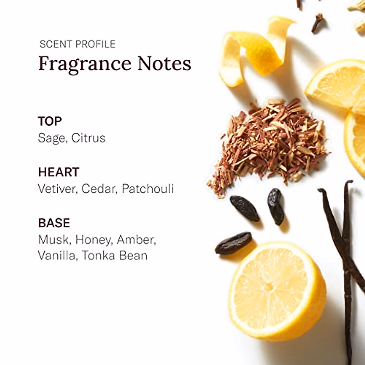 Stetson Original by Scent Beauty - Cologne for Men - Classic, Woody and Masculine Aroma with Fragrance Notes of Citrus, Patchouli, and Tonka Bean - 0.75 Fl Oz