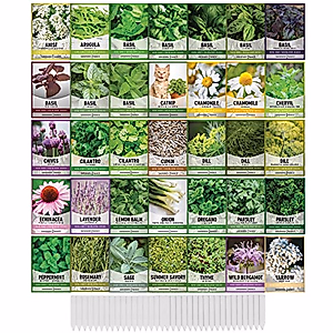 35 Herb Seeds for Planting Varieties Heirloom Non-GMO Seeds Indoors, Hydroponics, Outdoors - Basil, Lavender, Catnip, Cilantro, Oregano, Parsley, Peppermint, Rosemary and More by Gardeners Basics