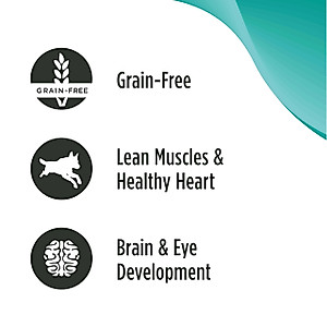 Nulo Freestyle All Breed Wet Canned Dog Food for Puppies, Premium All Natural Grain-Free, High Animal-Based Protein