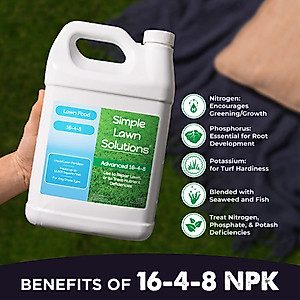 Advanced 16-4-8 Lawn Fertilizer - Liquid Lawn Food Spring & Summer Concentrated Spray - Any Grass Type- Fish and Seaweed Kelp- Balanced NPK - Simple Lawn Solutions (1 Gallon)
