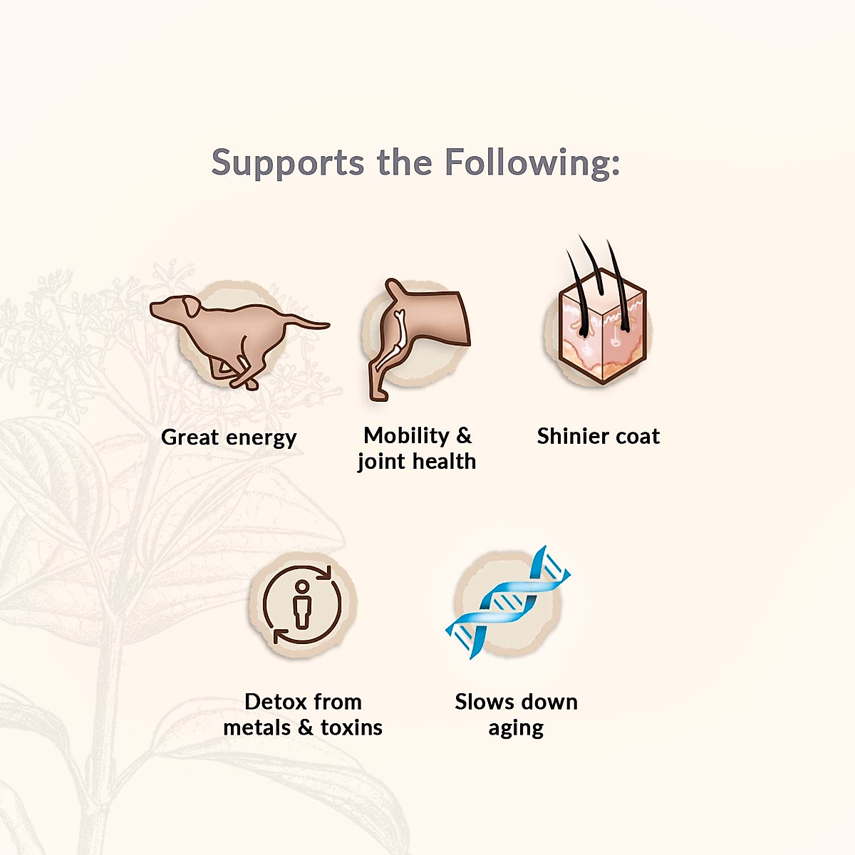 DR. DOBIAS GreenMin for Dogs - All Natural Mineral and Amino-Acid Rich superfood, up to 5 Months Supply