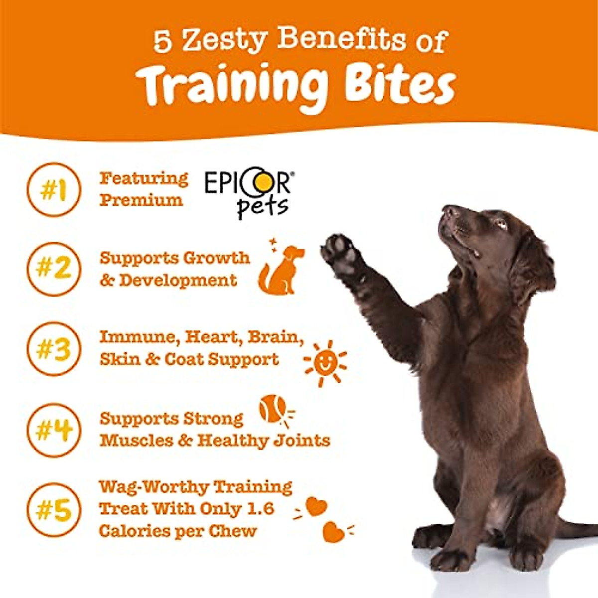 Zesty Paws Training Treats for Dogs & Puppies - Hip, Joint & Muscle Health - Immune, Brain, Heart, Skin & Coat Support - Bites with Fish Oil with Omega 3 Fatty Acids with EPA & DHA - PB Flavor - 12oz…