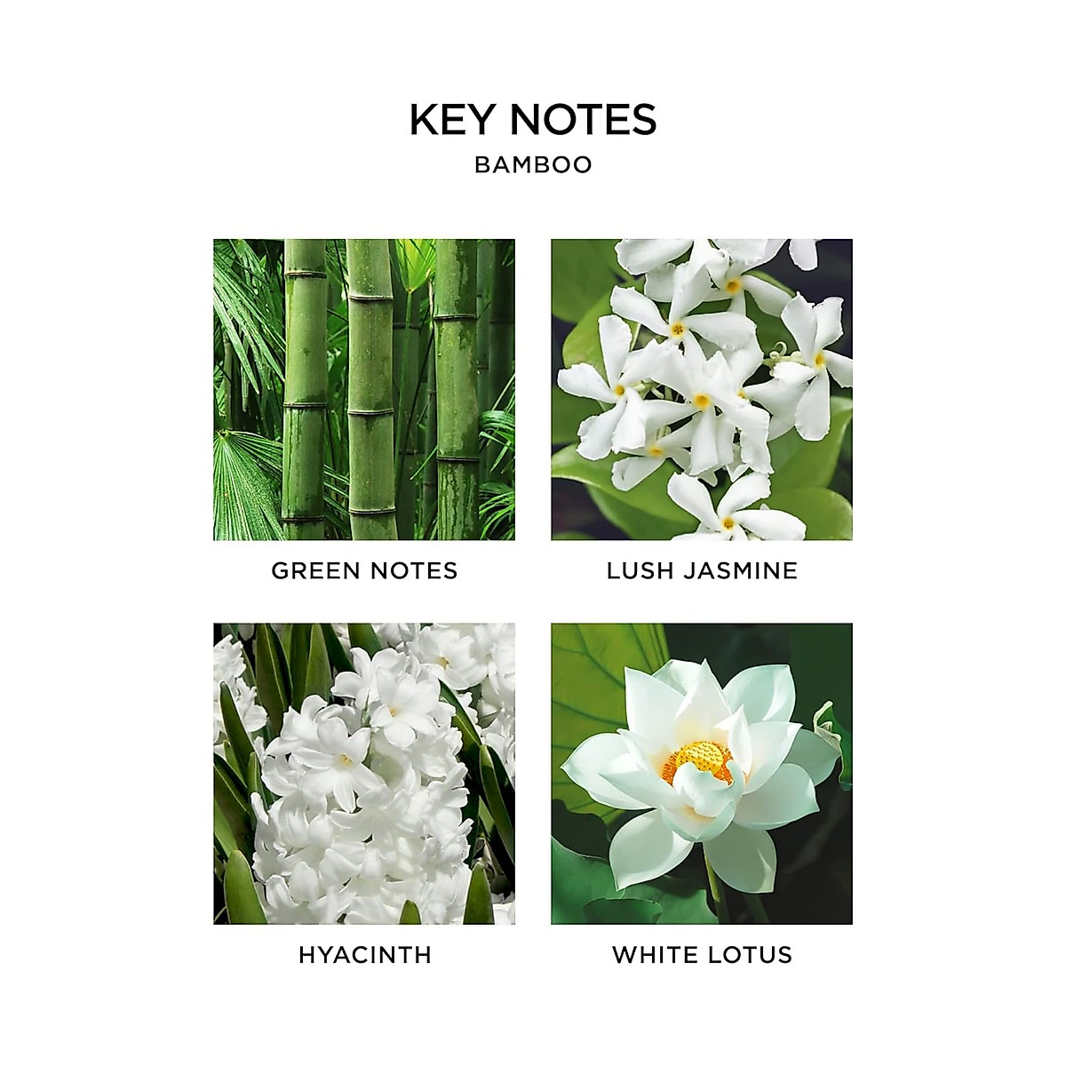 NEST New York Bamboo Liquid Hand Soap