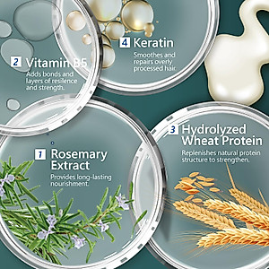 SH-RD Nutra-Therapy Conditioner for Dry Damaged Hair, 8.45oz/250ml - Hair Treatment to Repair Split Ends & Moisture, Protein Conditioner with Keratin for Color-Treated, Frizzy, Bleached Hair