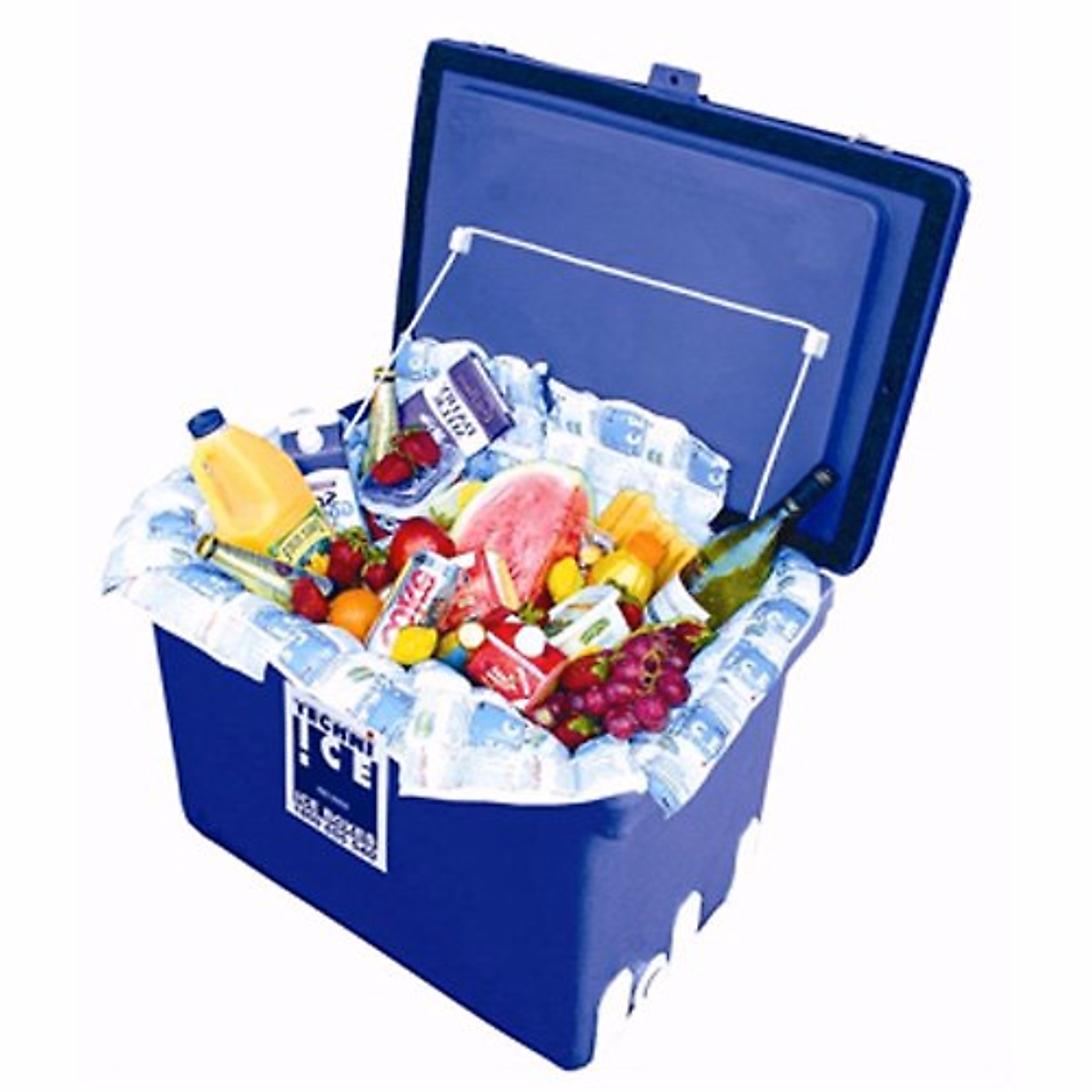 Techni Ice Standard 2 Ply Disposable/One to Two-time Use Dry Ice Replacement Sheets (10)