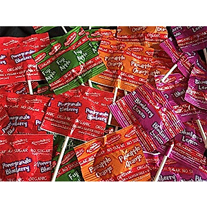 Koochikoo Organic Lollipop Variety Box, Assorted Fruit Flavor - Sugar Free, Gluten Free, Vegan - 50 Count