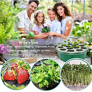 Dsxnklnd 12 Hole Seed Starter Tray Set Humidity Adjustable Seed Starter Kit with Dome and Mini Greenhouse Grow Trays for Growing Starting