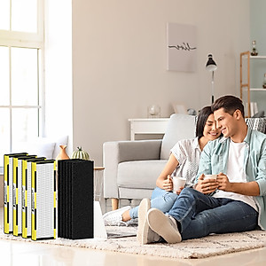 FLT4825 HEPA Filter B Replacement for Guar.dian Air Purifier AC4825 AC4300 AC4800 AC4900 AC4850, 4 HEPA Filter and 6 Pre-Filter