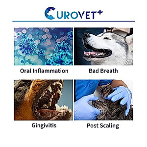 CUROVET MucoMax, Oral Wound Care Gel for Dogs and Cats, 0.35oz. Safe and Easy Care with 100% Natural Ingredients. Treats Oral Wound and Inflammation.