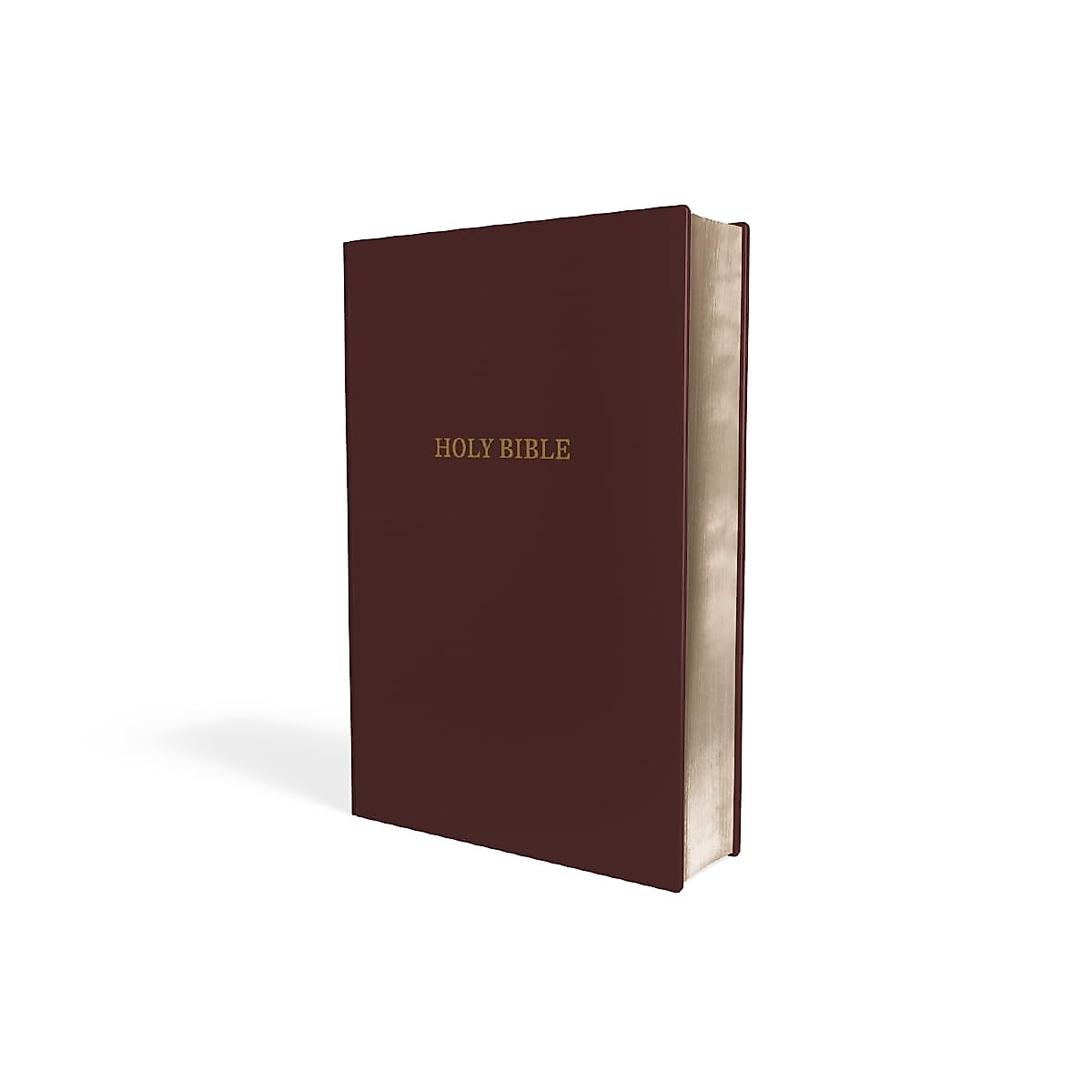 NIV, Reference Bible, Giant Print, Leather-Look, Burgundy, Red Letter, Comfort Print