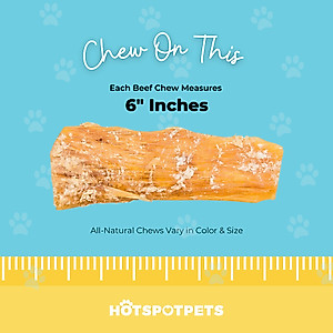 hotspot pets Beef Tendon Chews for Dogs - 6 Inch All Natural, Free-Range, Grass-Fed Premium Backstrap Tendon Dog Chews Treats
