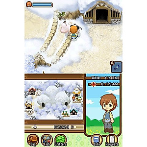 Harvest Moon: Tale of Two Towns - Nintendo DS