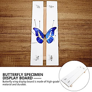 SEWACC Decorating Tools Specimen Display Board Butterflies Mounting Spreading Board Display Case Experiment Tool for Specimen Display Collages Wall Mirrors Decorative