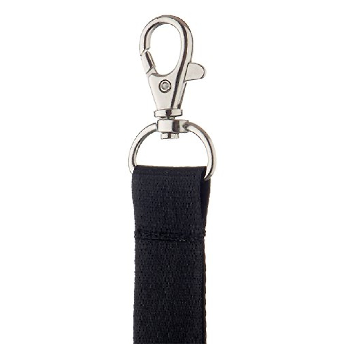 PAXCOO 60Pcs Swivel Snap Hooks and D Rings for Lanyard and Sewing Projects (1” Inside Width)