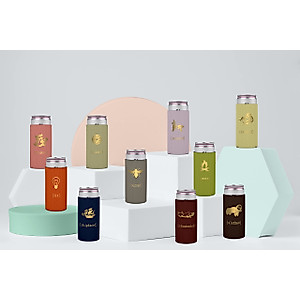 Retro Colored Slim Can Coolers (Set of 10) - Funny Gold Drinking Designs - Girls Trip Gifts Favors - Bachelorette Party - Adult Party Favors