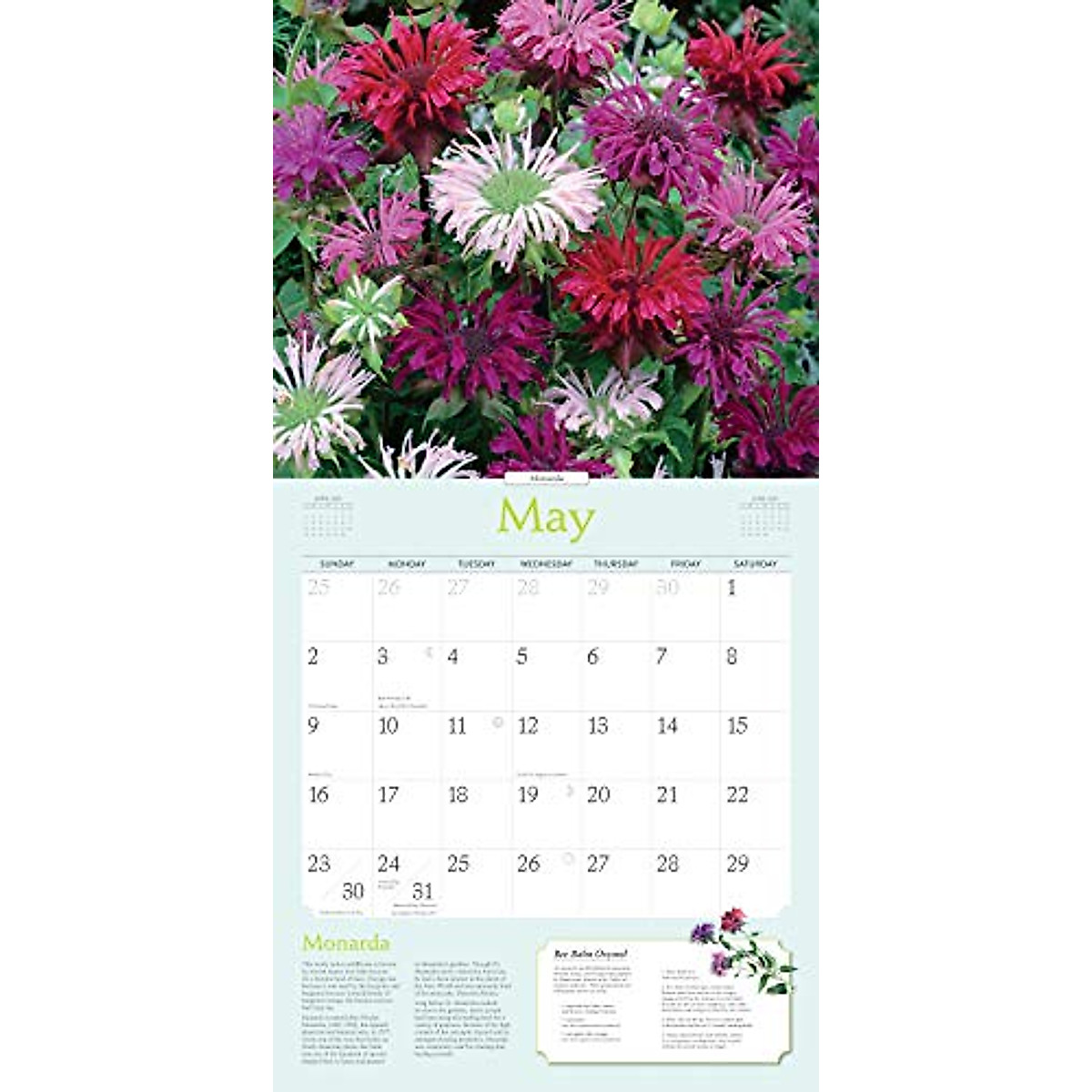 Rosemary Gladstar's Herbs Wall Calendar 2021