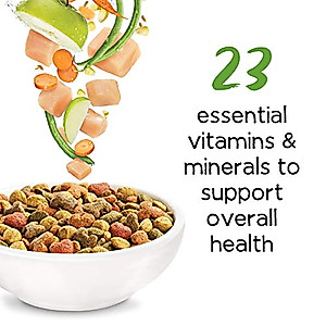 Purina Beneful Healthy Weight Dry Dog Food With Farm-Raised Chicken - 6.3 lb. Bag