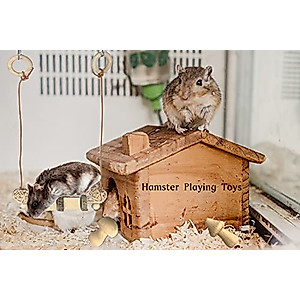 Vehomy 12Pcs Hamster Toys for Hamster Small Animal Chewing Toy Hamster Applewood Molar Stick Rat Cage Hanging Swing Handmade Carrot Lollipop Toy Small Pet Cage Decor Toy for Gerbils, Rats, Parrots