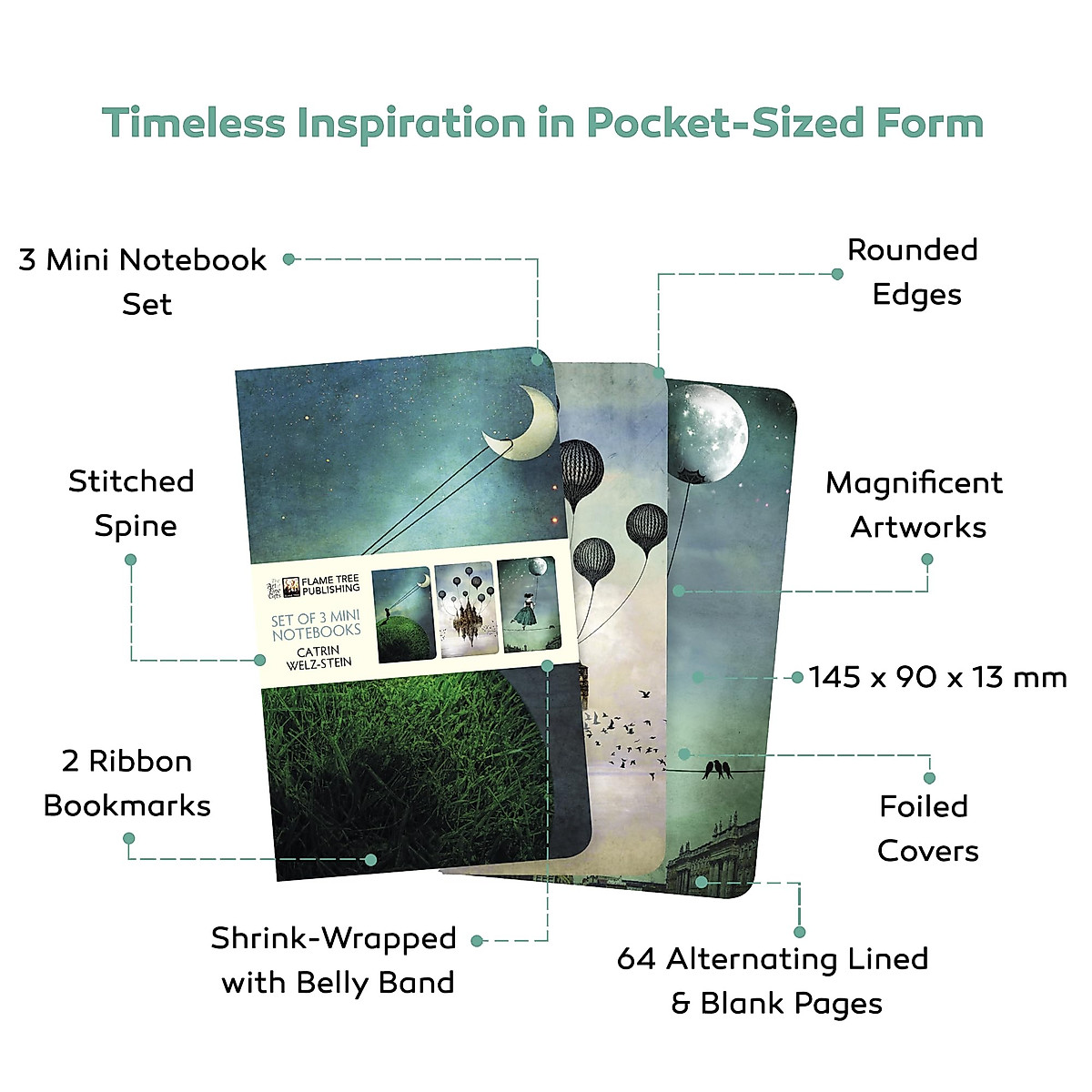 Aimee Stewart Set of 3 Mini Notebooks (Mini Notebook Collections)