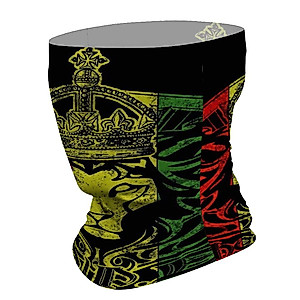African Flag The Lion of Judah Rasta Rastafari Face Mask Bandana Cooling Neck Gaiter Summer Breathable UV Dust Protection Balaclava Face Cover for Outdoor Sports