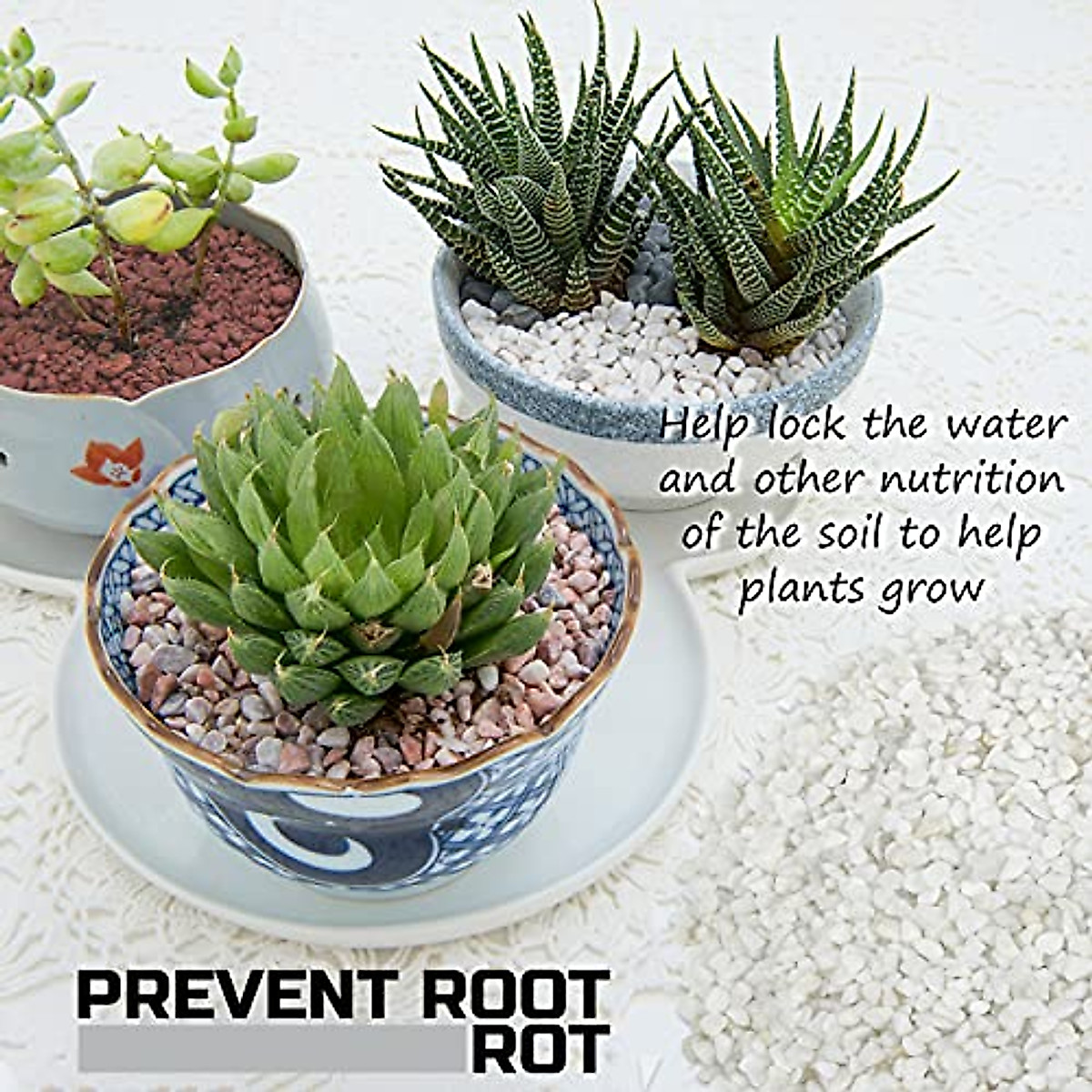 2 lb. Pebbles for Plants, Drainage Rocks for Potted Plants, Terrarium Succulent Bonsai Cactus Rocks Stones | Aquarium Pebbles for Fish Tank