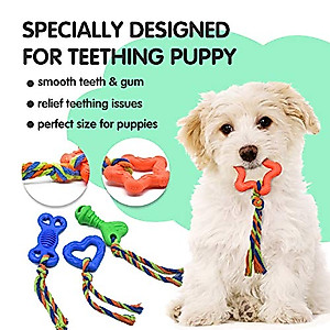 LEGEND SANDY Puppy Chew Toys for Teething, 14 Pack Dog Chew Toys for Small Dog, Dog Toy for Boredom and Stimulating,Pet Toys for Small Breed with Dog Ball,Tug of War Rope Toys Squeaky Plush Toy