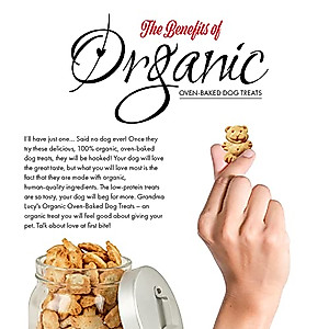 Grandma Lucy's Organic Oven Baked Dog Treats - Cranberry, 14 oz