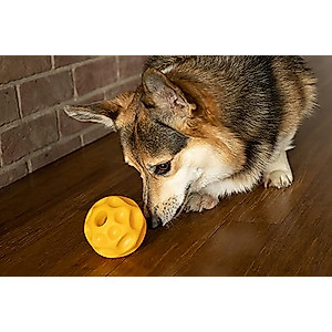 Starmark Treat Dispensing Tetraflex Dog Toy Large