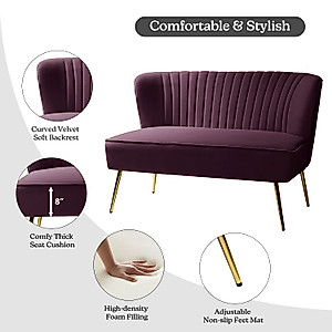 TINA'S HOME Contemporary Velvet Loveseat Sofa, Upholstered Loveseat Couch with Golden Metal Legs, Small Tufted 2-Seat Sofa Armless Love Seat for Living Room, Bedroom, Apartment Small Spaces, PURPLE