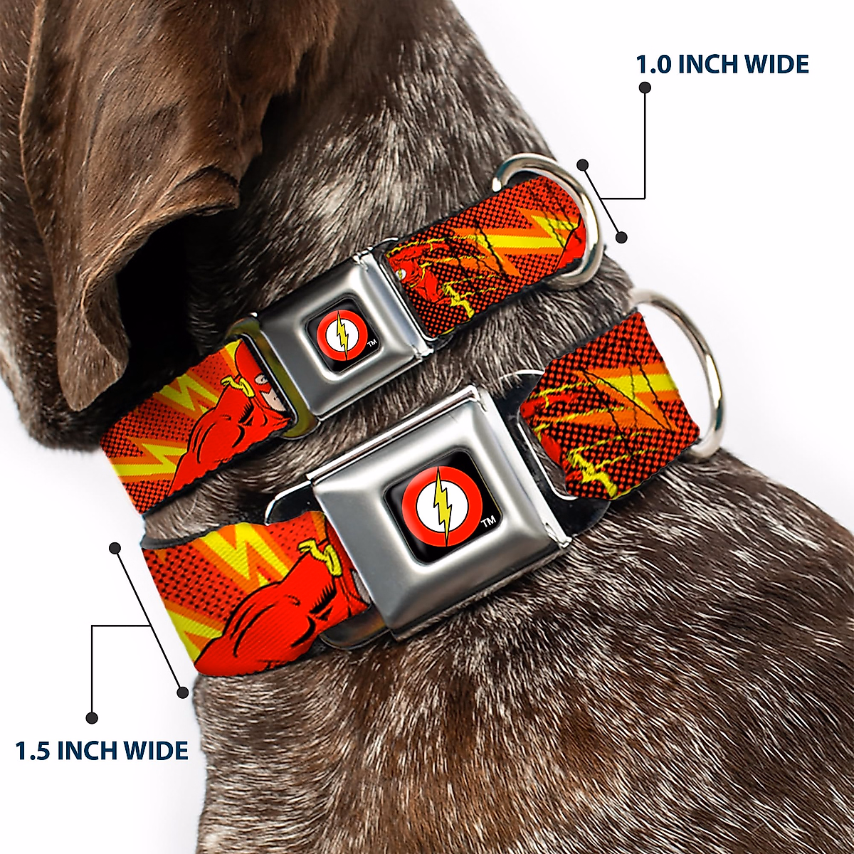 Buckle-Down Dog Collar Seatbelt Buckle The Flash Boom Kaboom, Multi Color, 1.5" Wide - Fits 16-23" Neck - Medium (DC-WFL003-WM)